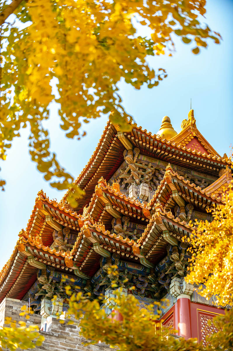 天朗气清，红墙黄叶，故宫的深秋太美了！还有600年大展等你看哦！-搜狐大视野-搜狐新闻