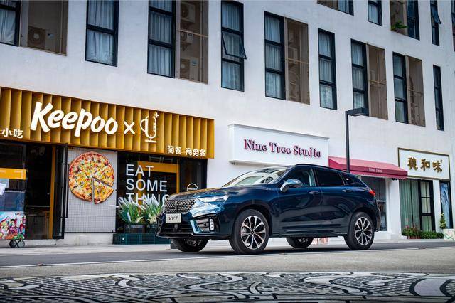 WEY VV7 过关斩将三连胜 令红旗HS5惊呆了！_搜狐汽车_搜狐网