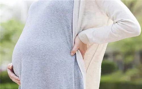乳房的一生，看这篇就够了！值得收藏乳头