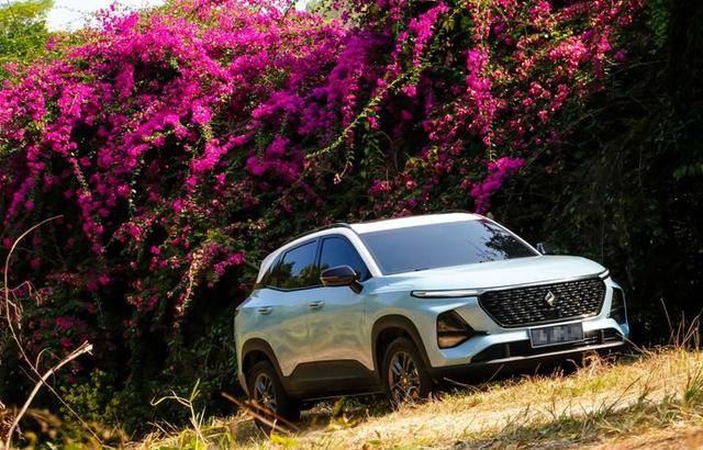 新宝骏RS-3和吉利缤越该选谁？老司机说：答案明了，三缸机毁所有_搜狐汽车_搜狐网