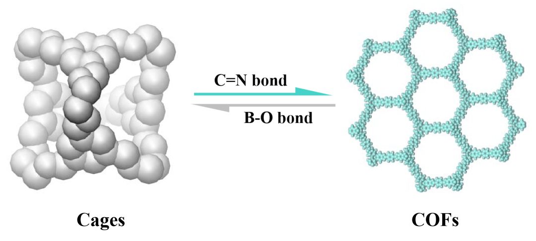【JACS】南京理工大学在COFs-有机分子笼动态转换取得进展_Cages