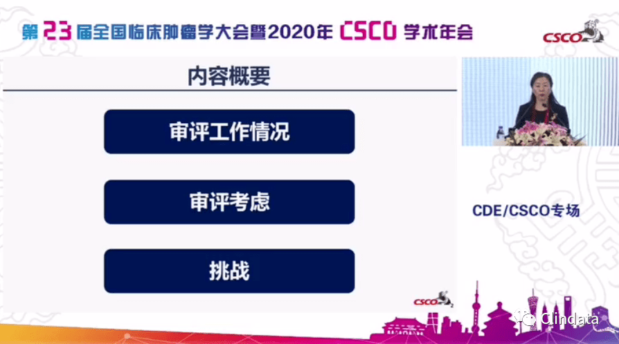 Nmpacde杨志敏部长万字解读和视频《2020年中国抗肿瘤创新药审评情况报告》指导