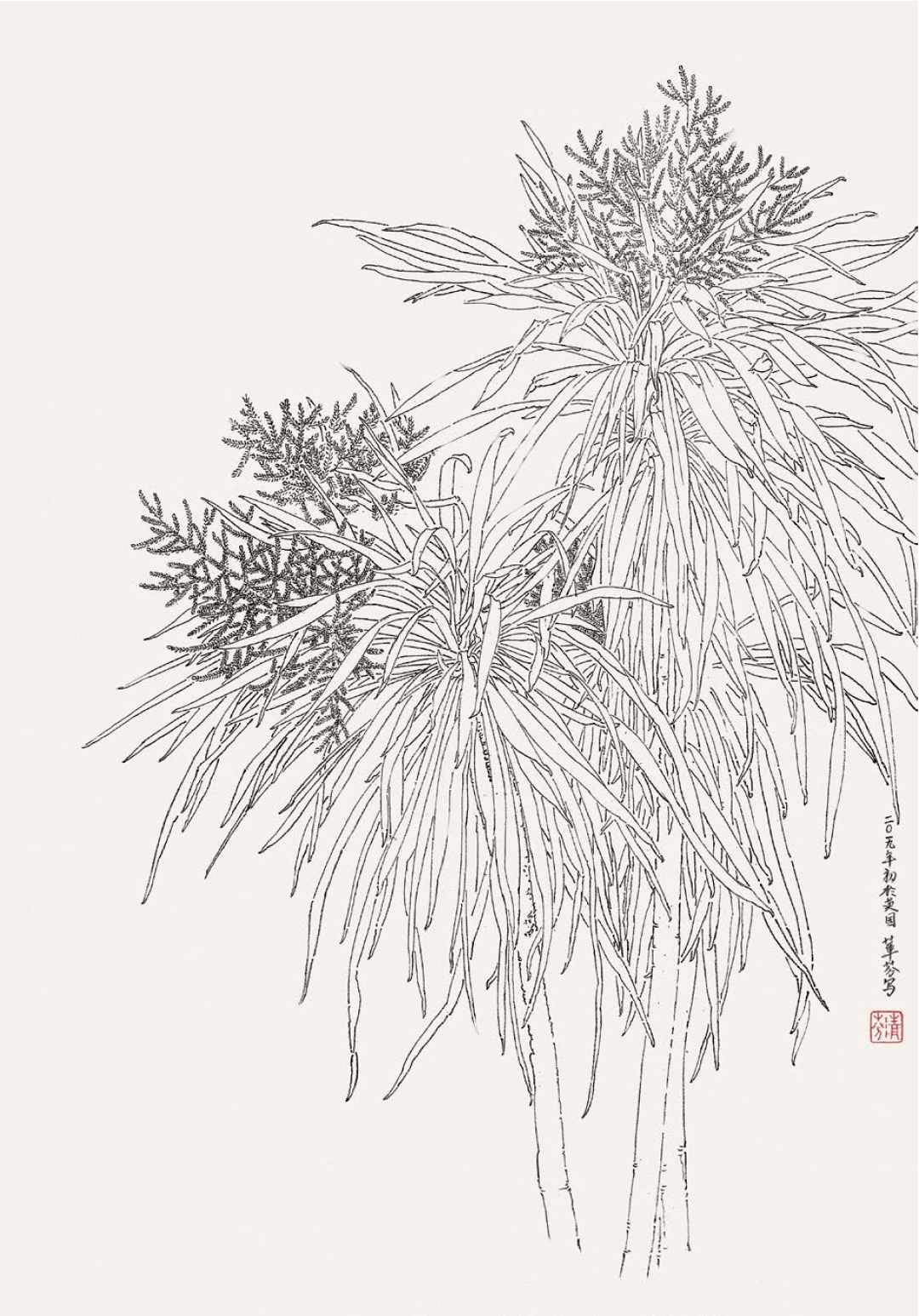 【苏门画苑】中央美术学院苏百钧工作室 师生线描写生精品集(二)-搜狐大视野-搜狐新闻