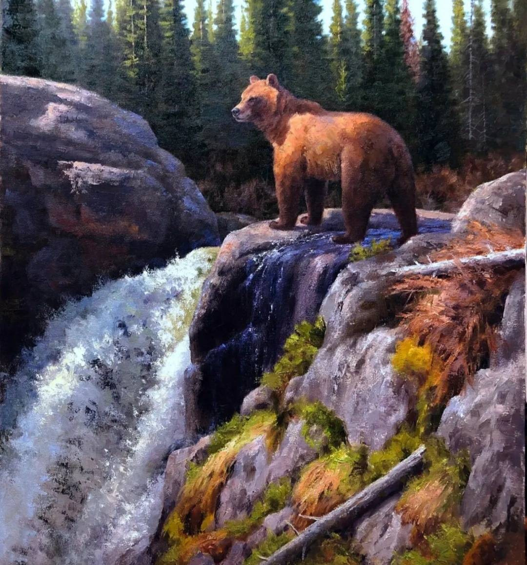 美国艺术家 Dwayne Brech野生动物油画作品欣赏-搜狐大视野-搜狐新闻