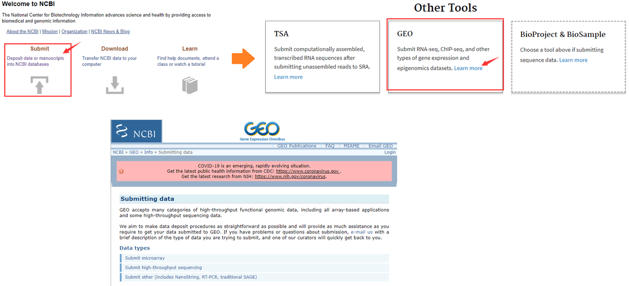 GEO的数据上传步骤_RNA-seq
