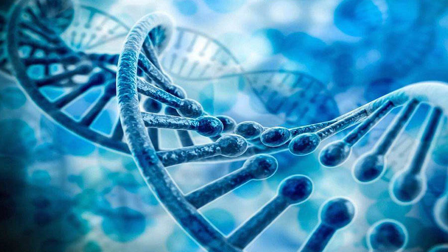 因中国基因管理收紧，药明明码剥离中国业务并将总部迁至波士顿_Genuity