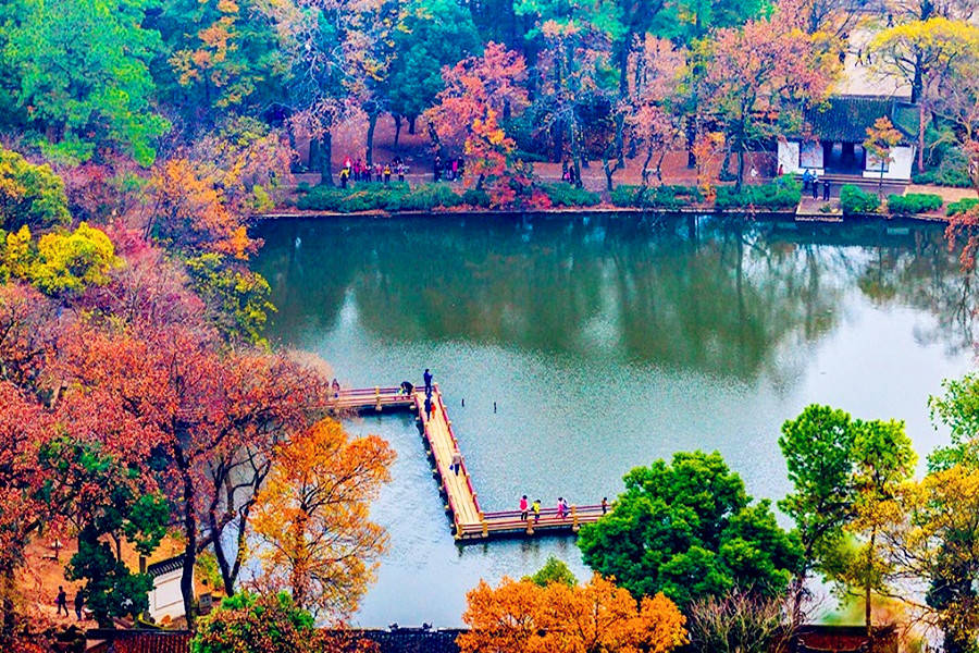 天平山红枫-搜狐大视野-搜狐新闻