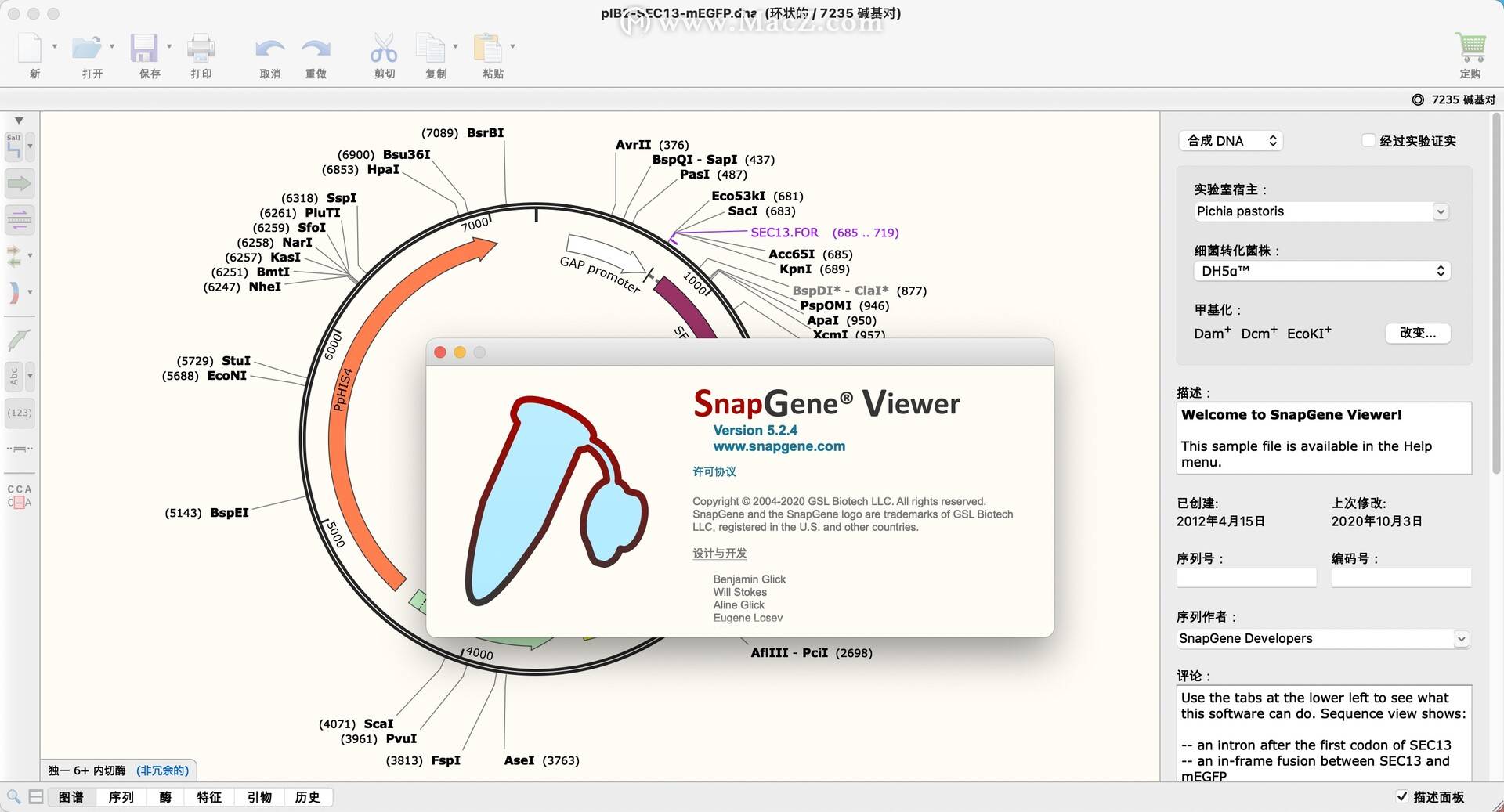SnapGene Viewer for mac分子生物学_序列