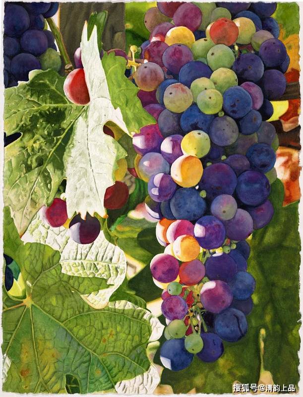 美国画家Cara Brown水彩画作品选集 -6park.com