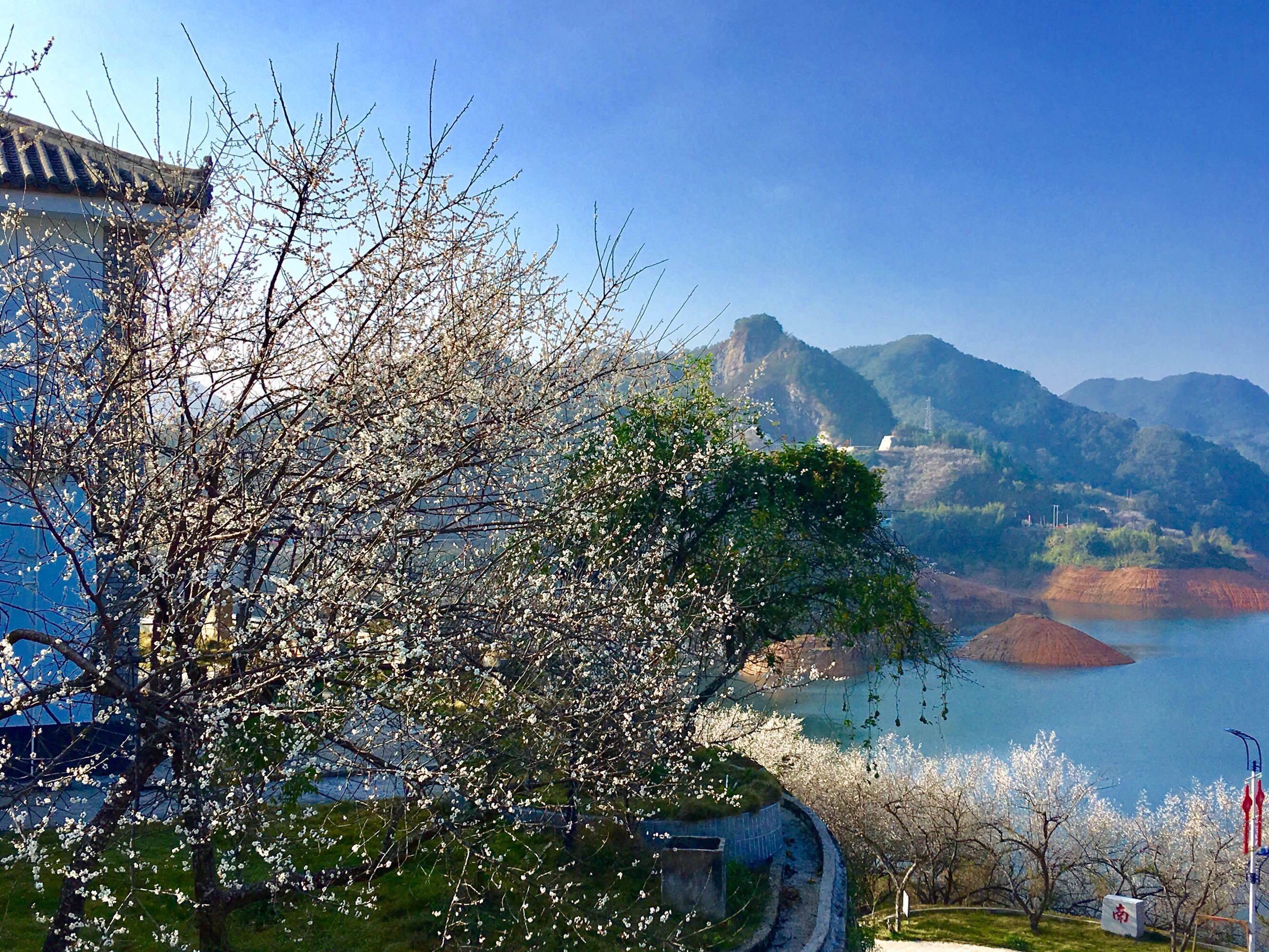 汕尾市南天湖首届梅花诗词文化节贺诗汇编（436首）-搜狐大视野-搜狐新闻