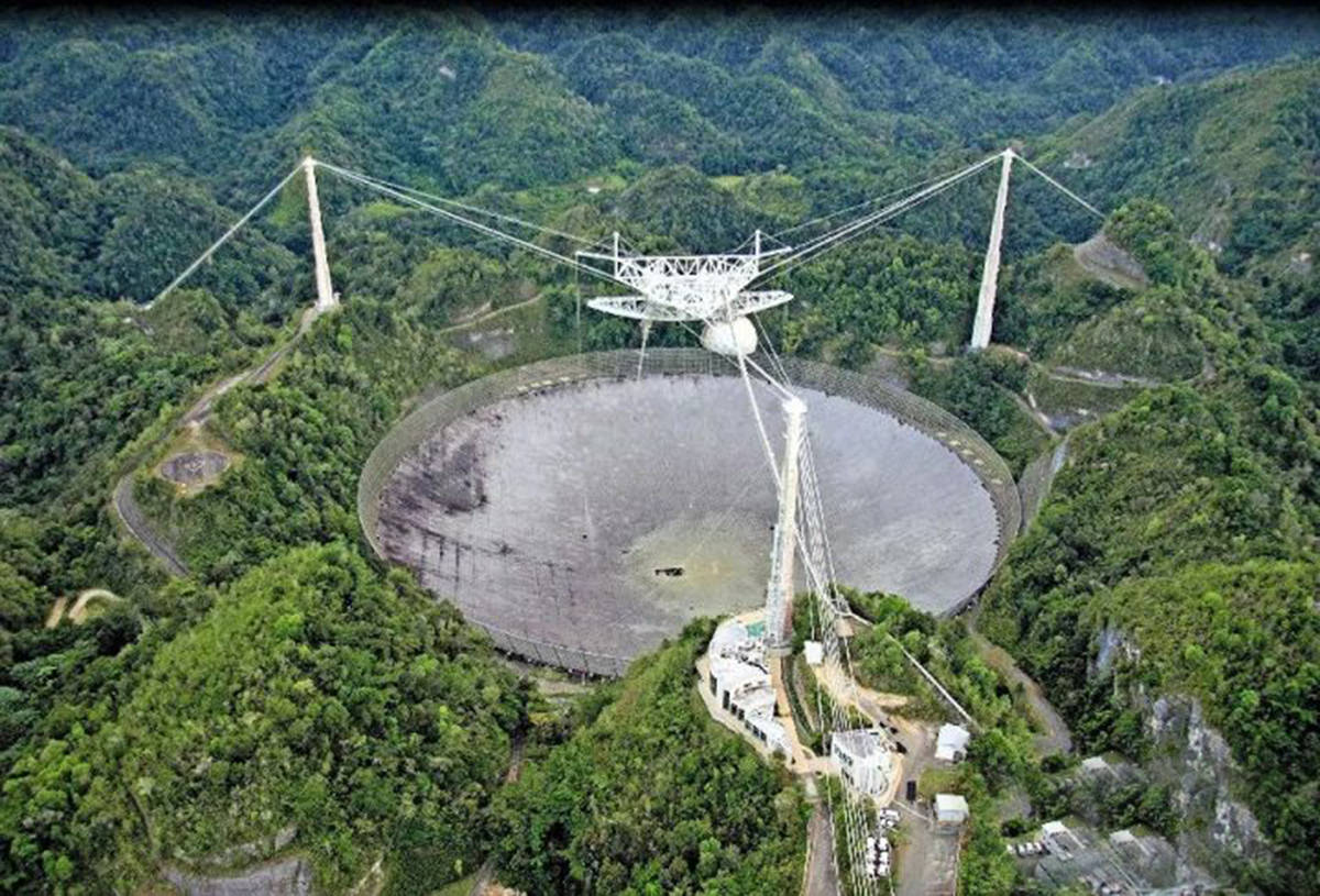 人类始终在寻找外星人，如人类与外星人接触，该以何种方式沟通？生物