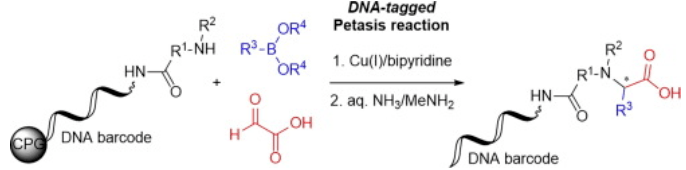 Petasis reaction_反应