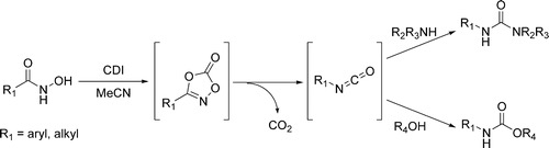 「NR」Lossen rearrangement——异氰酸酯的制备_反应