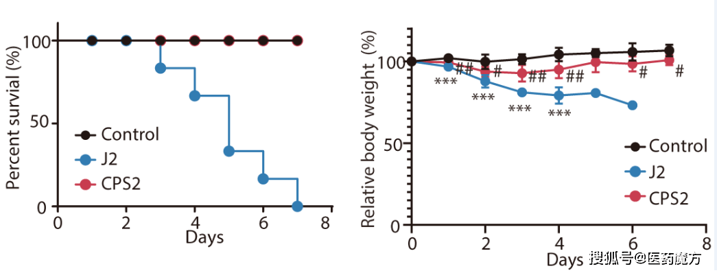 PROTAC新应用：成功降解CDK2 | Nature子刊最新成果_选择性