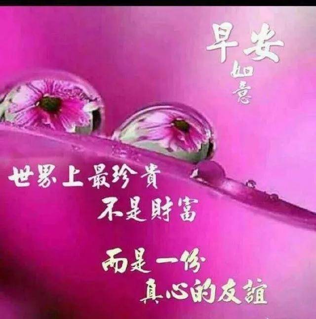 清晨慰问大家早安正能量图片 早上好表情包带祝福语 早安！人生观