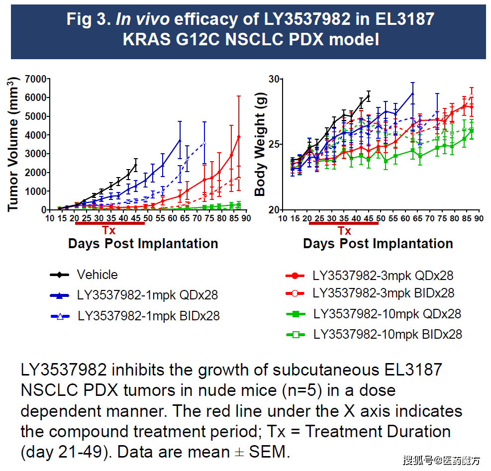 礼来新一代KRAS G12C抑制剂：临床前数据亮眼，抗癌活性较AMG 510提高10倍_靶标