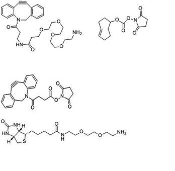 主动肿瘤靶向试剂DBCO在肿瘤诊断领域的研究与应用_纳米
