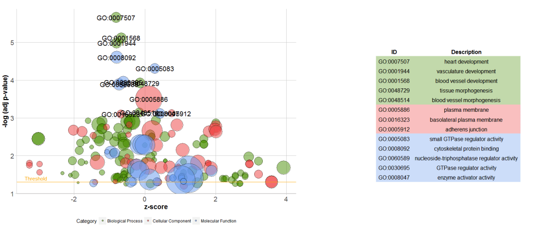 如何使用GOplot画一张精美的GO分析图_circ