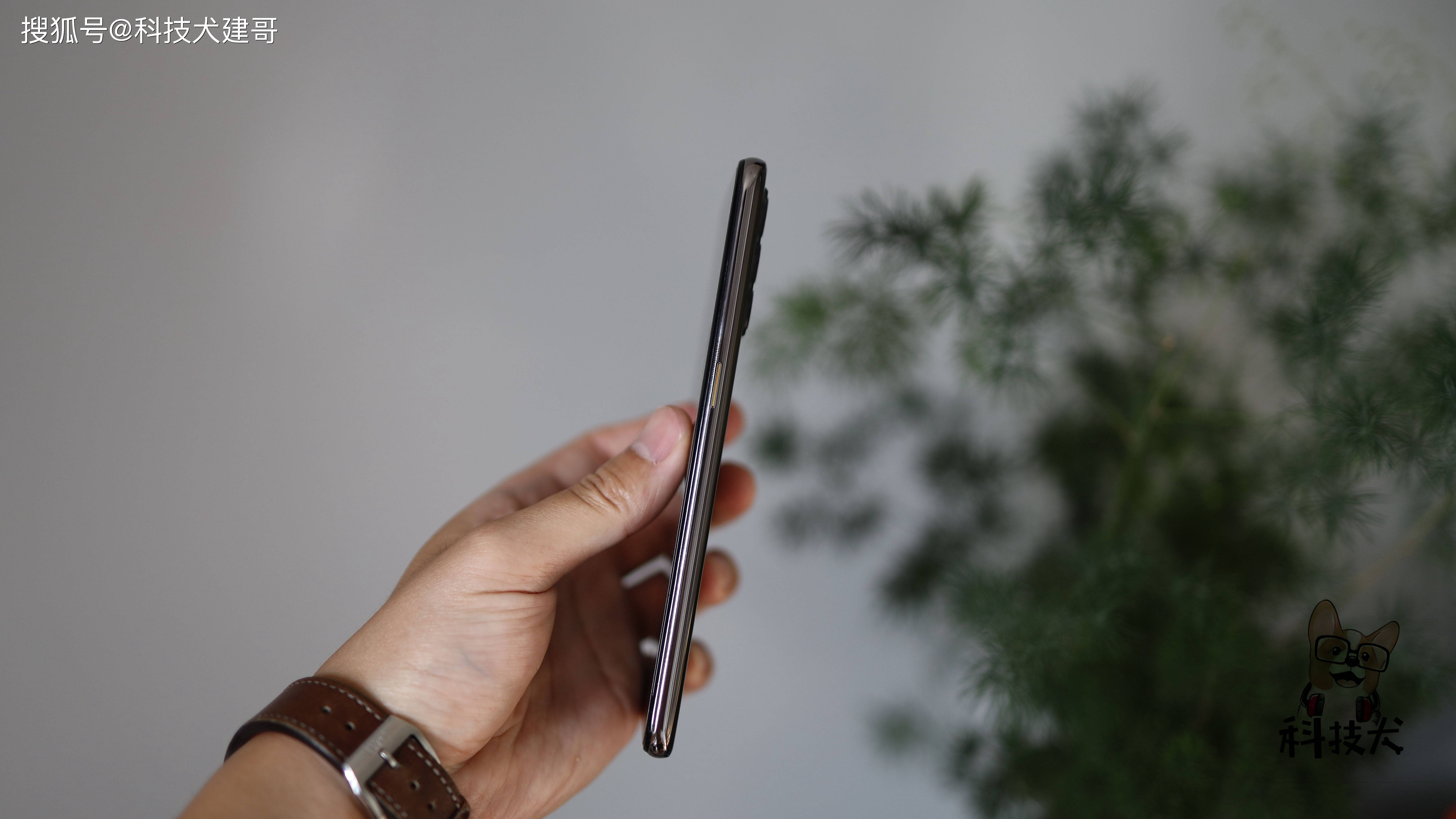 「618大促」五款realme 真我5G手机购机攻略：杨幂同款最值得入手_Pro