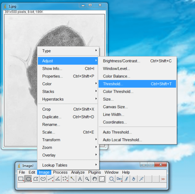 Momocs：用R进行表型变化分析_coo