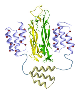 ACELYRIN完成2.5亿美元B轮融资，宣布Izokibep获批_公司