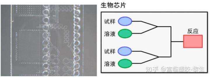 分析COC/COP 环烯烃共聚物/聚合物 - 气体汇