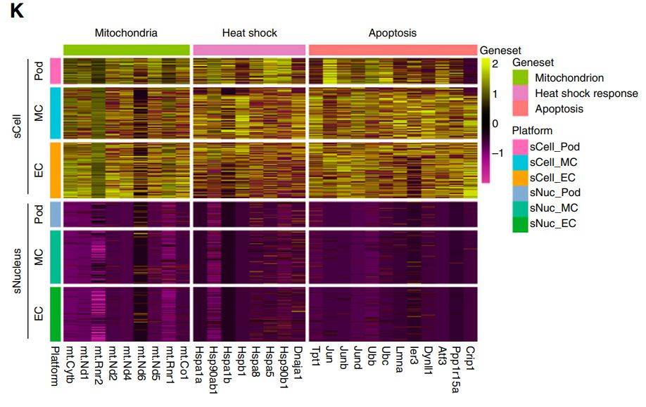 还在单细胞测序？单核更出色_RNA-seq_技术_Human