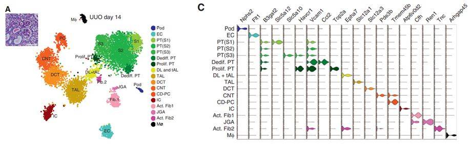 还在单细胞测序？单核更出色_RNA-seq_技术_Human