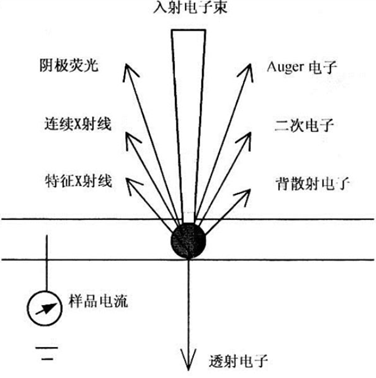 电子探针（EPMA）分析原理_样品_能量_原子