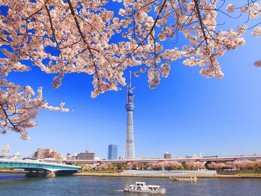 世界第二高塔：日本晴空塔-搜狐大视野-搜狐新闻