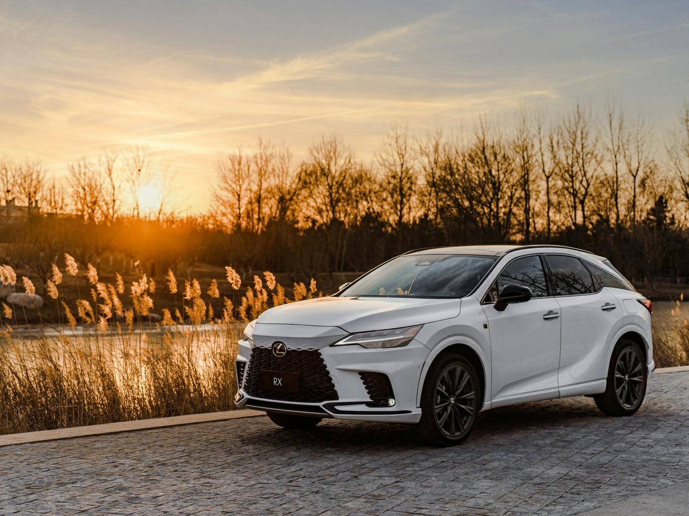 与宝马X5同级，预售价便宜近20万，雷克萨斯RX开启预售，全系混动_搜狐汽车_搜狐网
