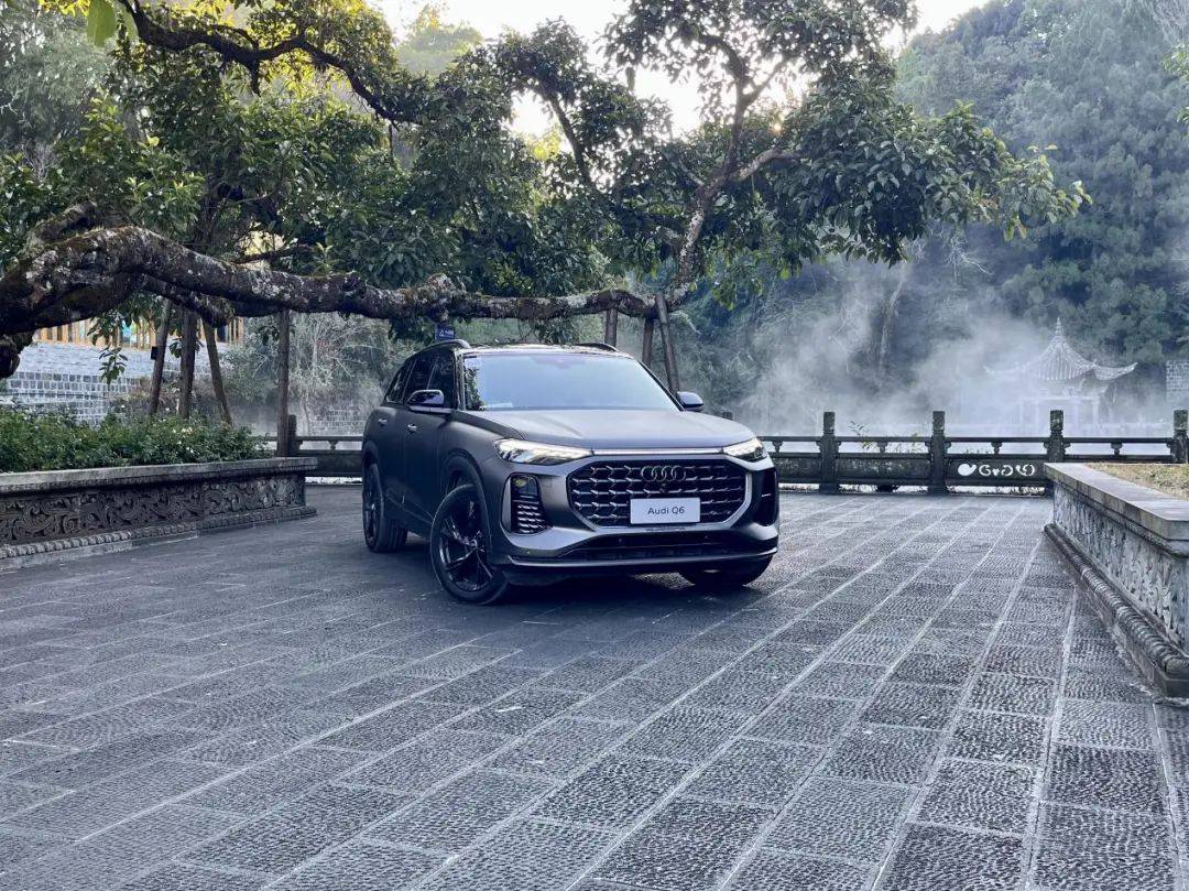 上汽奥迪Q6，最大就是最强么？_搜狐汽车_搜狐网