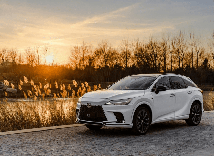 今年硬货不少 比亚迪海鸥/坦克700/标致408X 兔年值得关注的新车_搜狐汽车_搜狐网