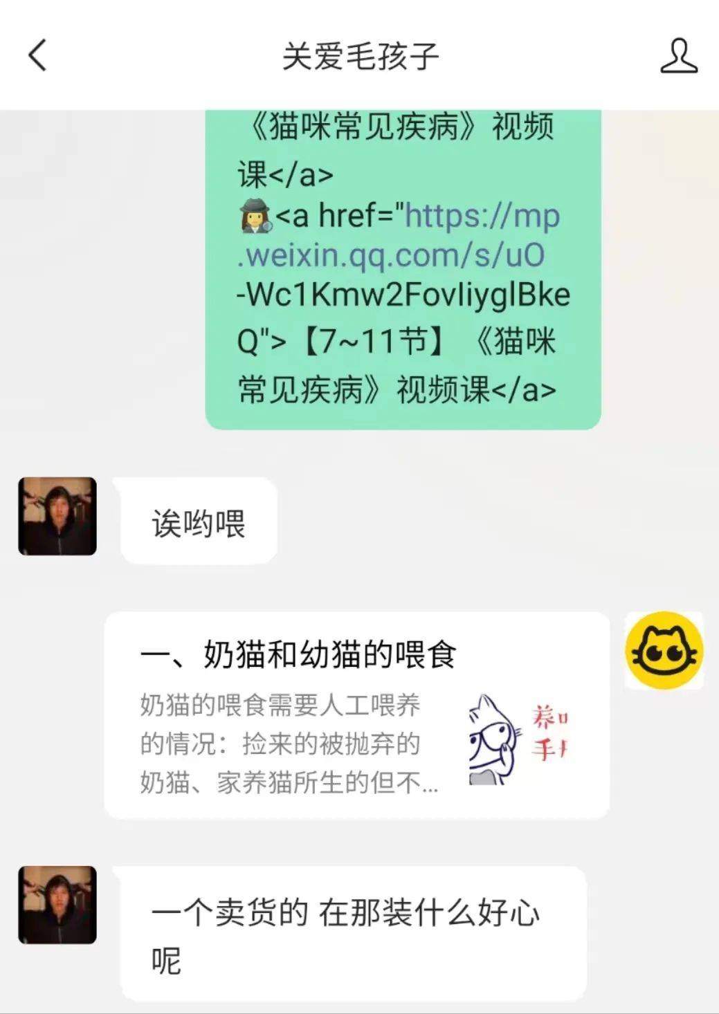 救救我！昨天曝光虐猫团伙后，我被恐吓威胁了！发声白云山什么