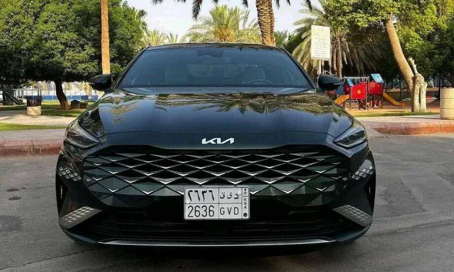 豪华韩范！搭载3.5L V6动力，起亚K8海外实车谍照曝光_搜狐汽车_搜狐网