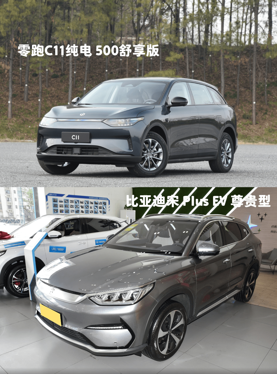 提车零跑C11纯电，对比邻居的比亚迪宋Plus EV谁更强？_搜狐汽车_搜狐网