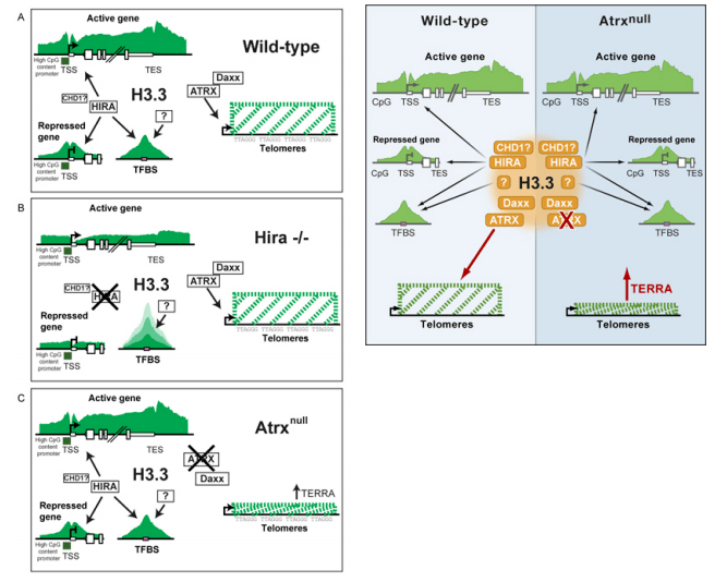 如何制作吸睛的图文摘要(Graphical Abstract)_论文_元素_读者