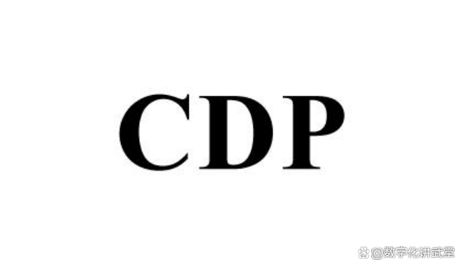 什么是CDP？CDP客户数据平台的功能有哪些？-数字化转型网szhzxw.cn