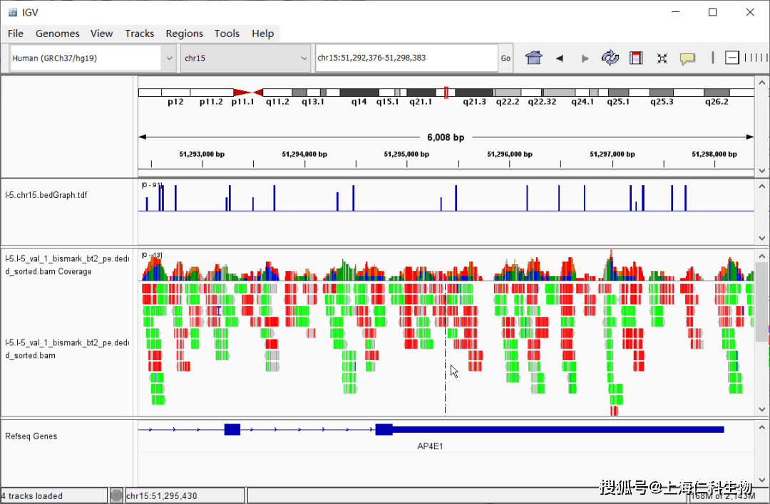 IGV快速上手指南（五）——查看甲基化数据_tdf_文件_BedGraph