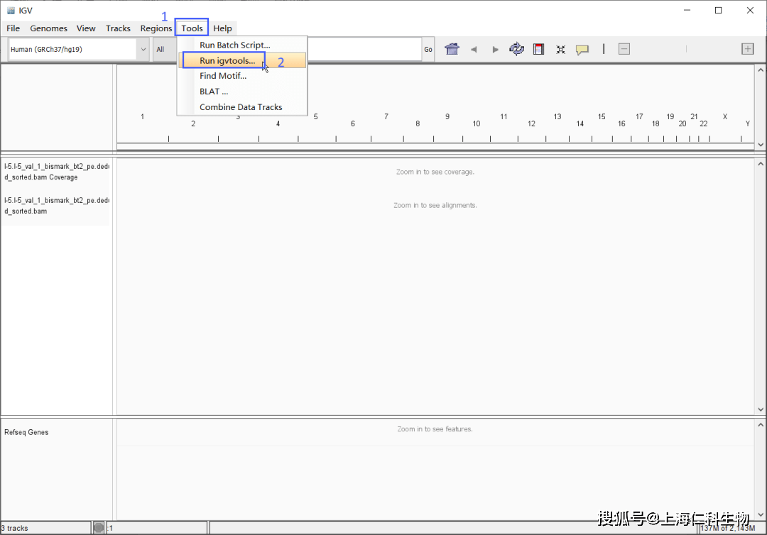 IGV快速上手指南（五）——查看甲基化数据_tdf_文件_BedGraph