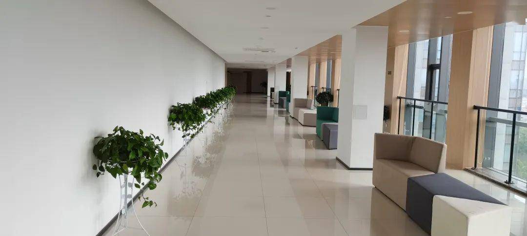 《市场营销学》课程团队赴实践基地调研线上教育平台商业模式-搜狐大视野-搜狐新闻