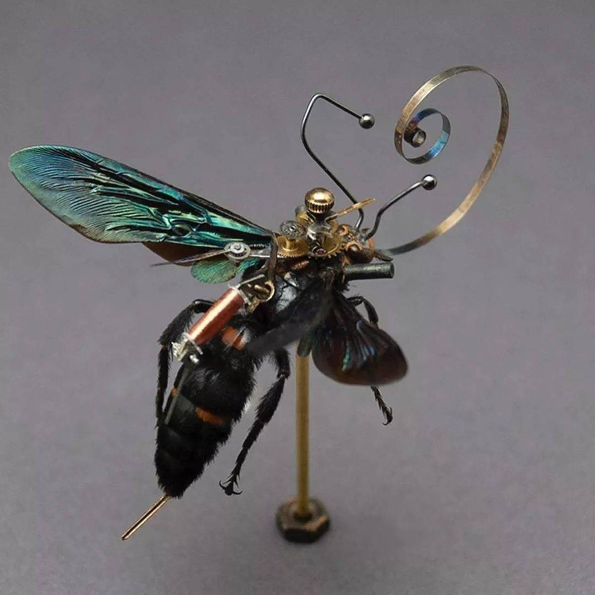 机械昆虫艺术家 Mike Libby