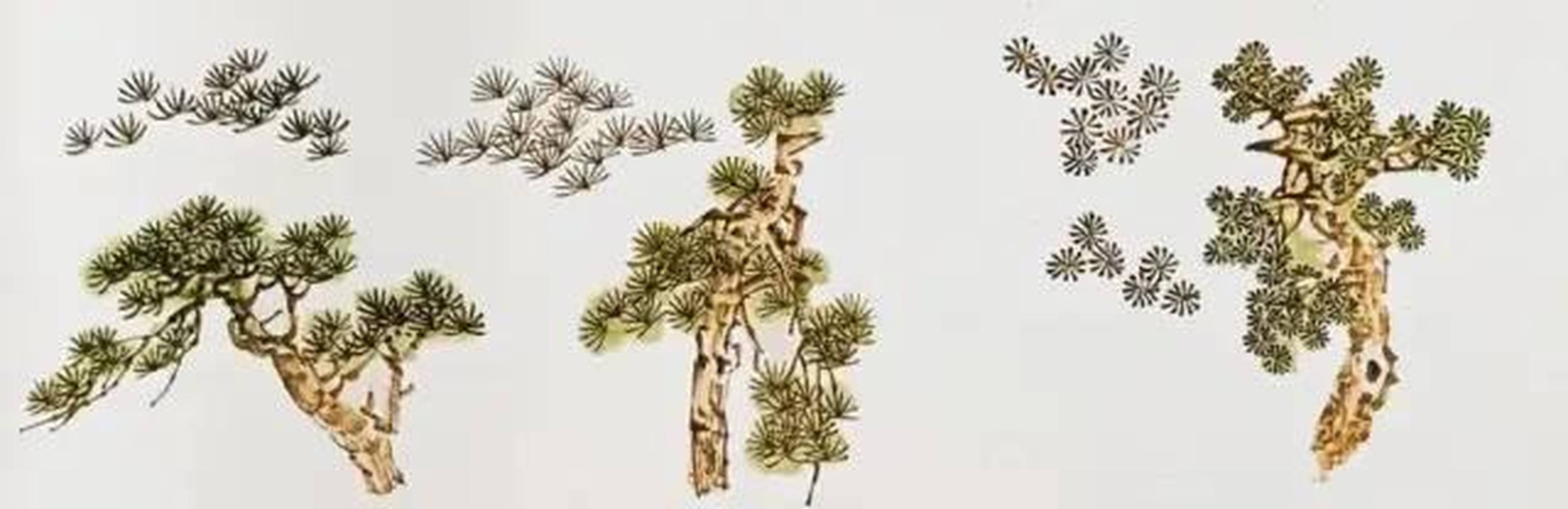 国画：松树的各种画法「图解」