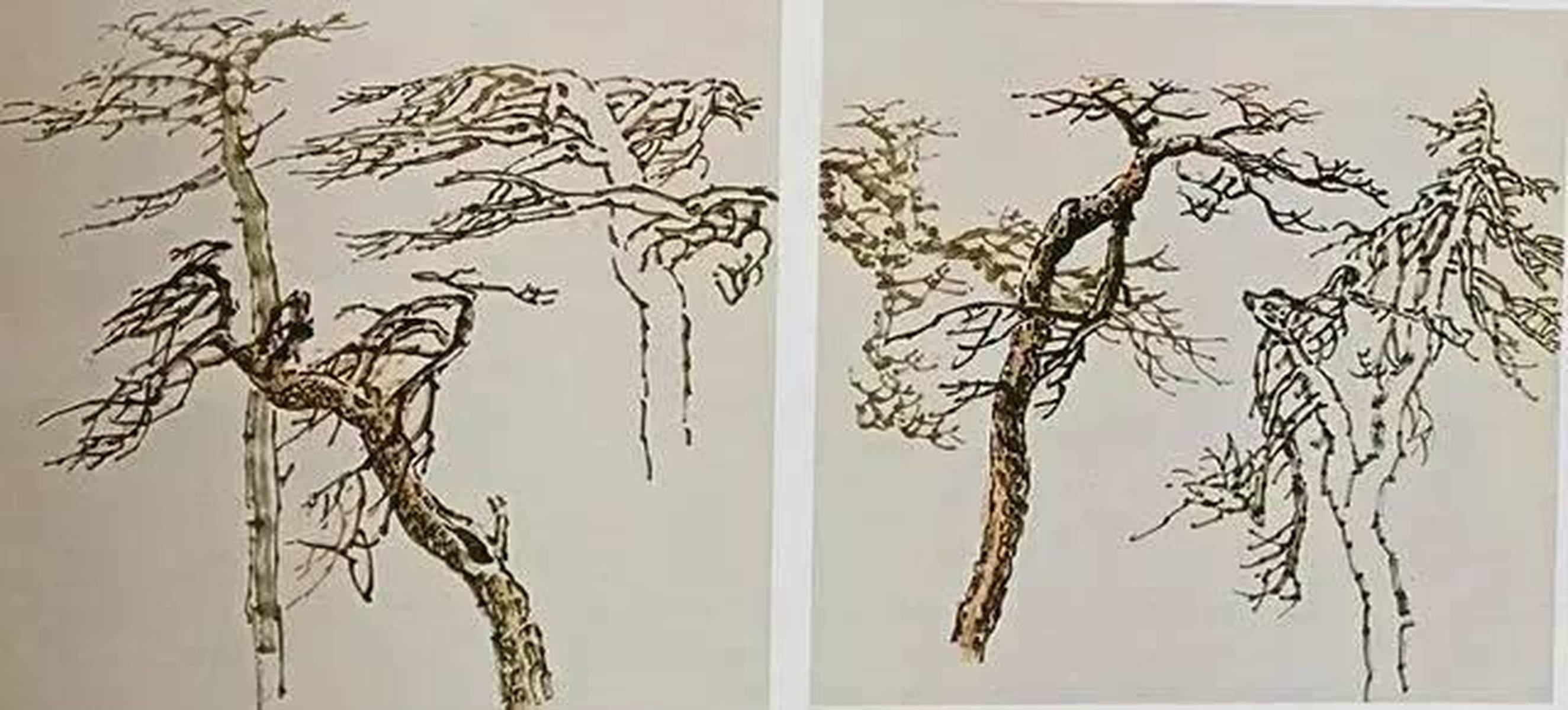 国画：松树的各种画法「图解」