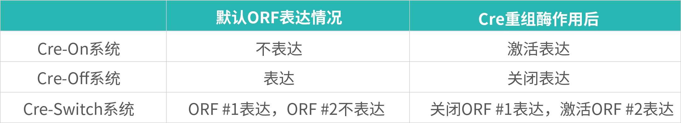 载体家小课堂 | Cre-Lox条件性表达载体系统_重组