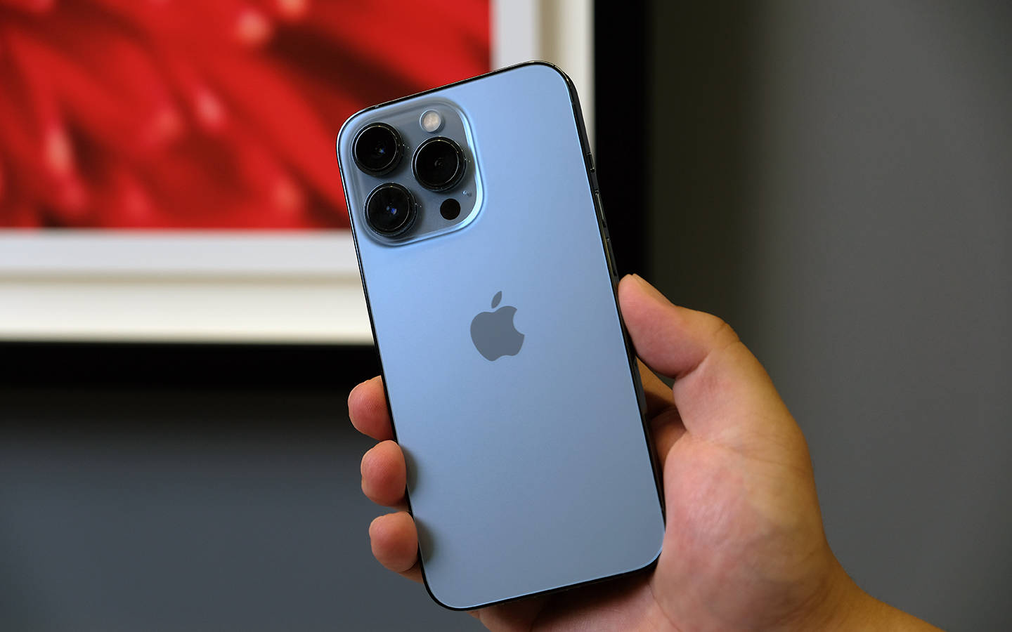 iPhone 13新品全览 图赏-搜狐大视野-搜狐新闻