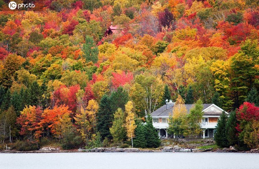加拿大赏枫正当时 秋天才是它最美的时光-搜狐大视野-搜狐新闻