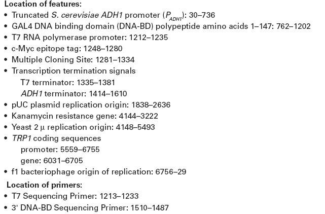 pGBKT7 / pGBKT7-BD载体质粒图谱、序列、说明书、价格_The_fusion_yeast