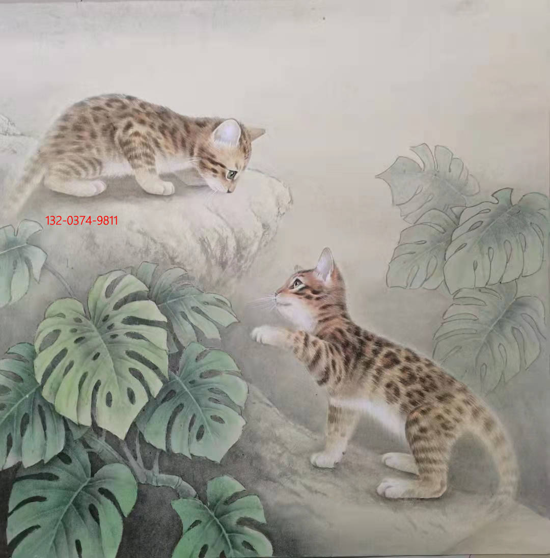画家王文波国画猫作品集-搜狐大视野-搜狐新闻