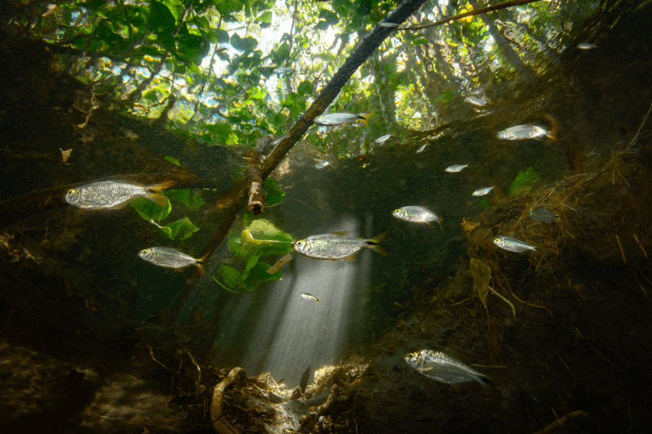 摄影师Eiko Jones 镜头里的水底世界-搜狐大视野-搜狐新闻